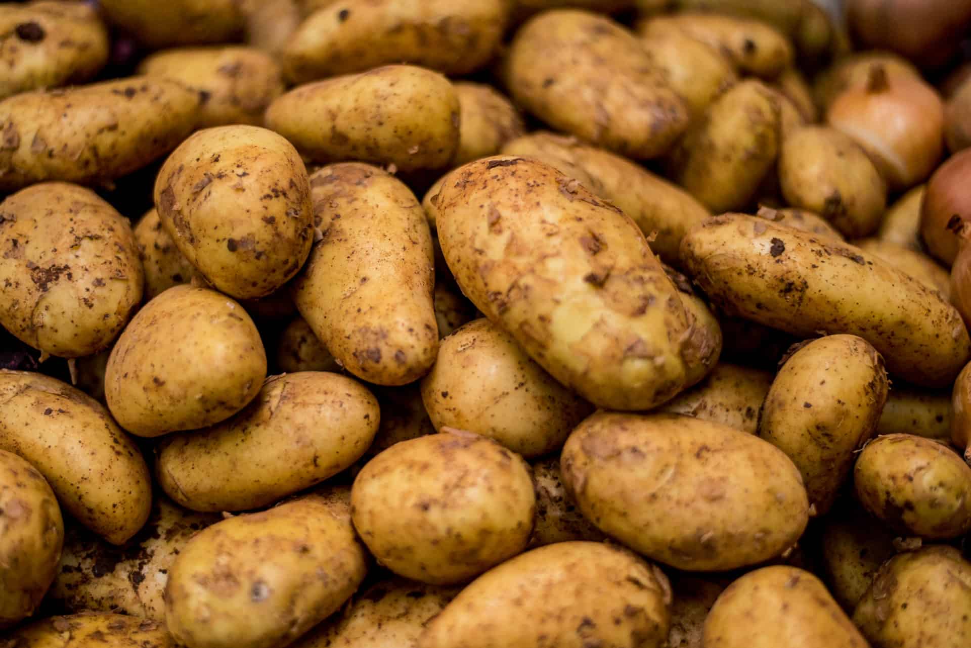 Potatoes (Cyprus New) - Leons Fruit Shop