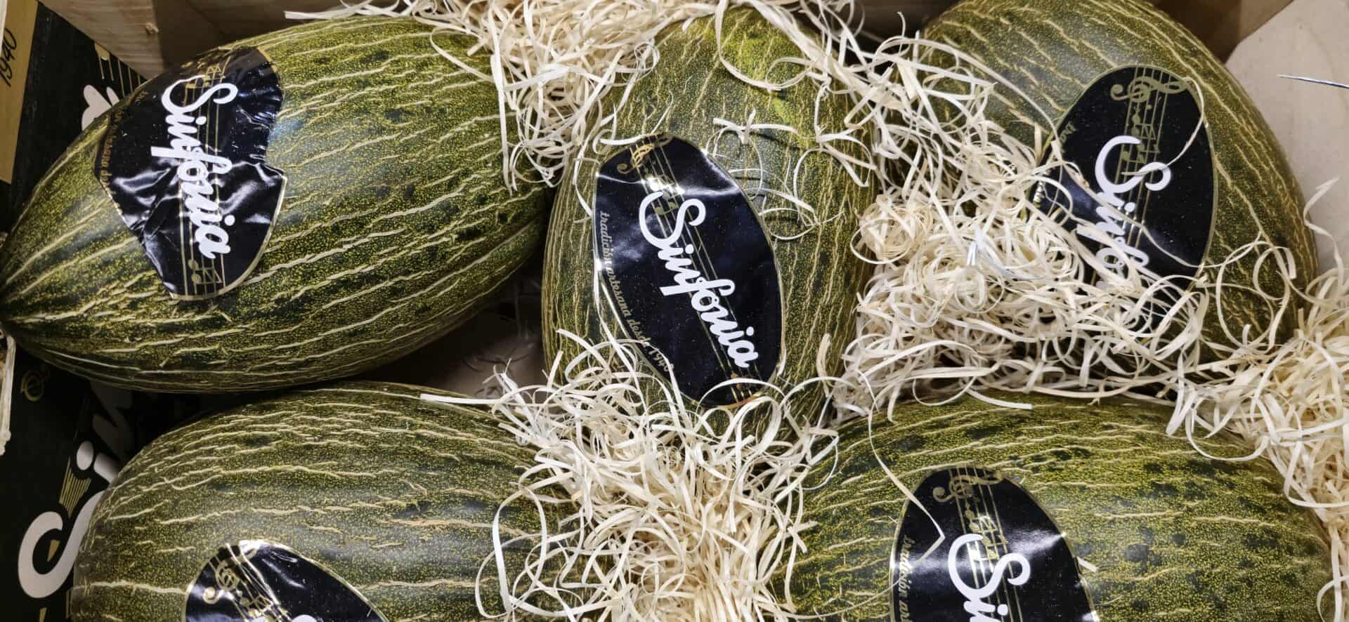 Melon Del Sapo - Leons Fruit Shop