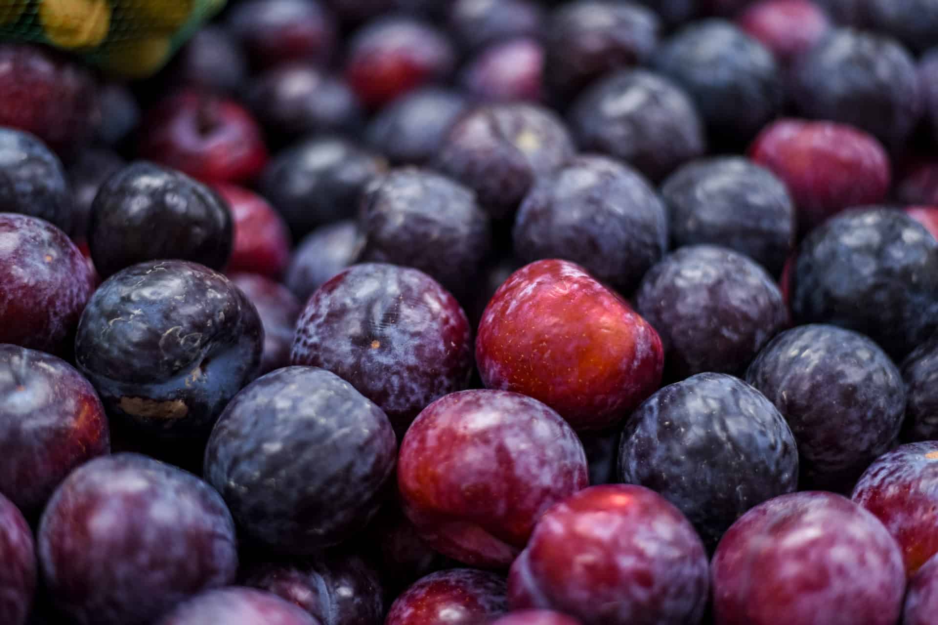 Plums (red) - Leon's Fruit Shop