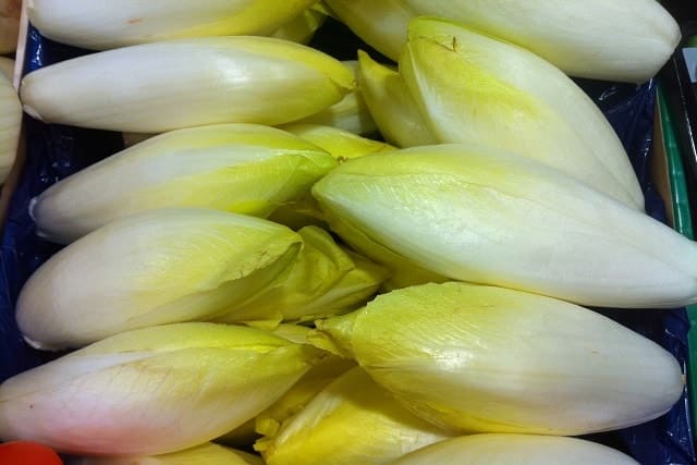 Chicory (Endive) - Leons Fruit Shop