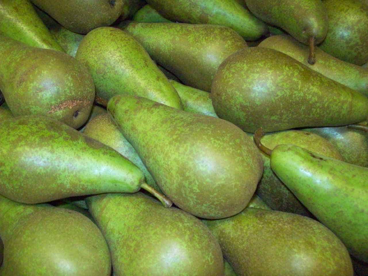 Pears (Conference) Extra large - Leons Fruit Shop