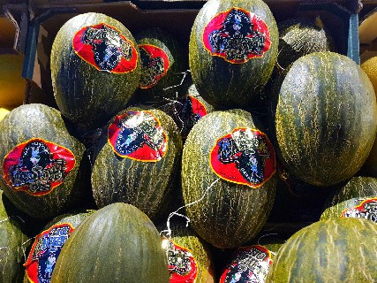 Melon Del Sapo - Leons Fruit Shop