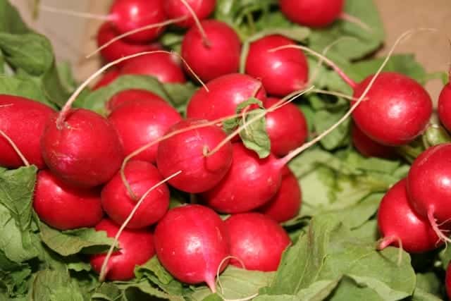 Radish (Loose) - Leons Fruit Shop