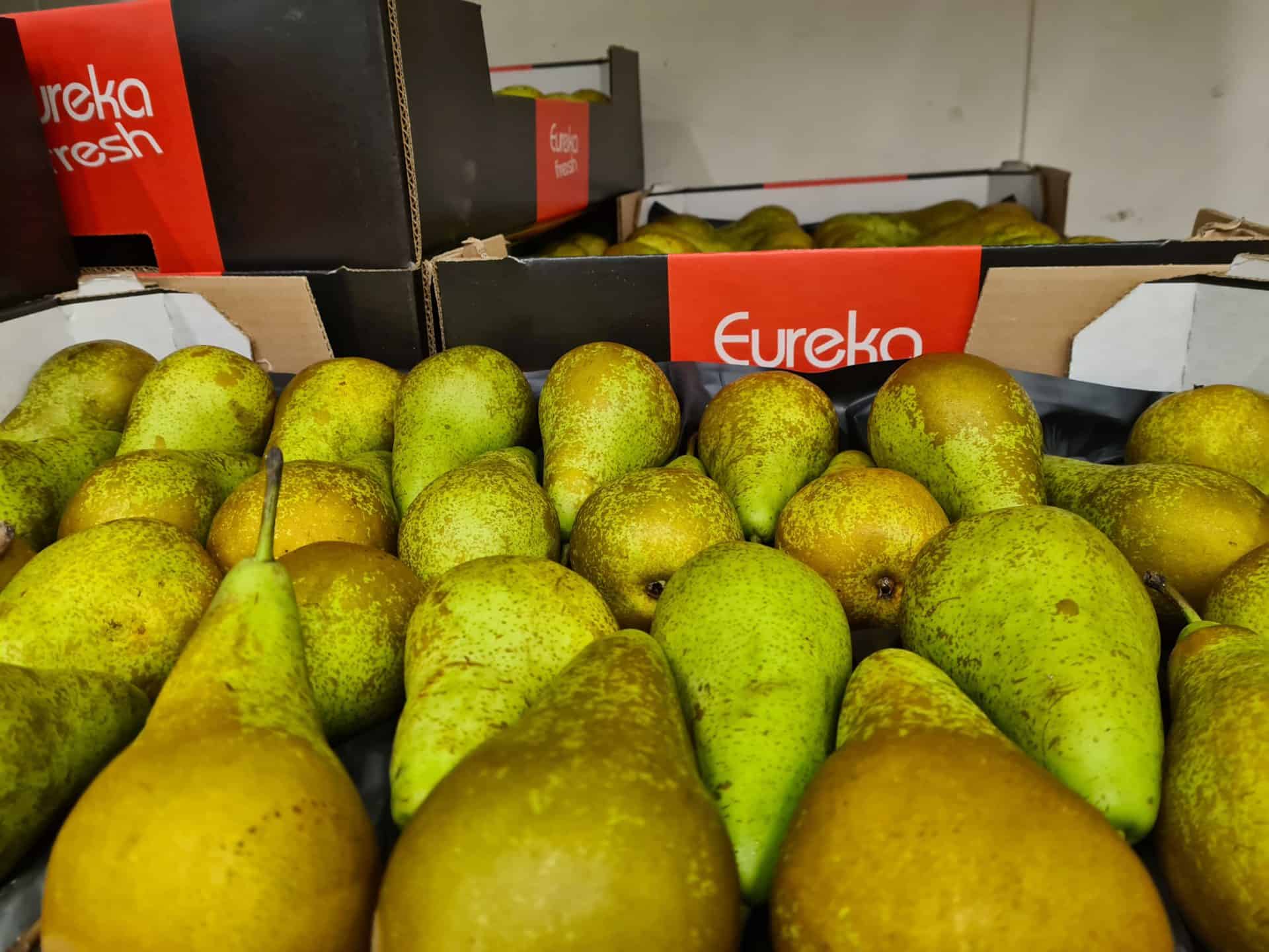 Conference Pears - Leons Fruit Shop