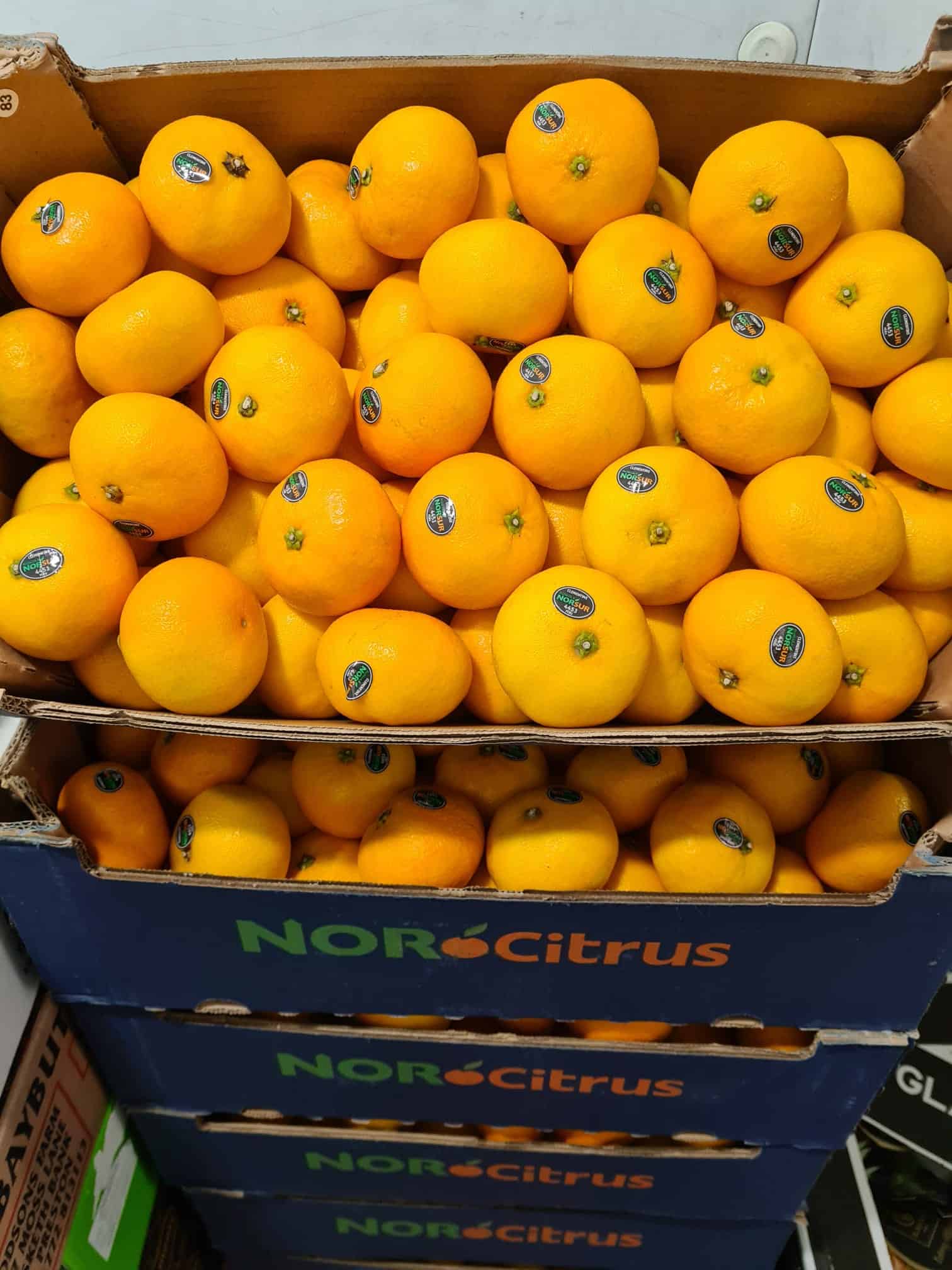Clementine (New Season) - Leons Fruit Shop