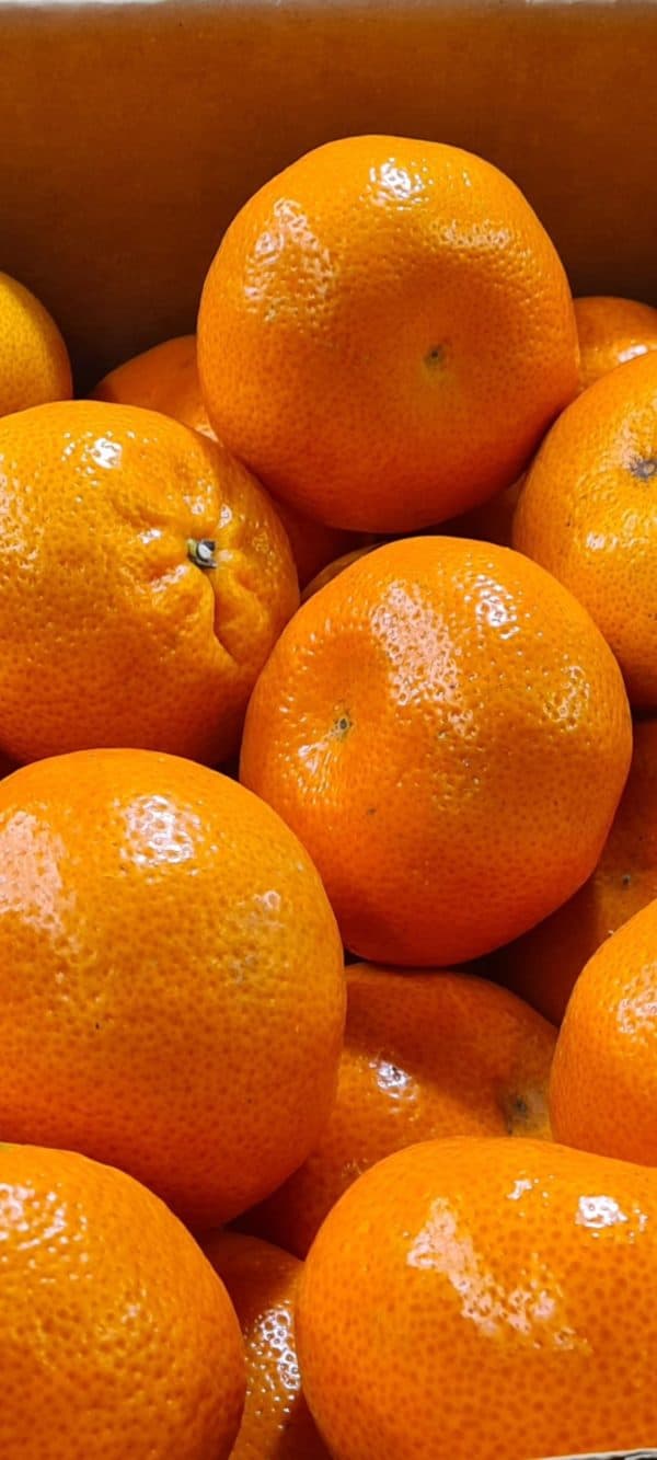 Nadorcott - Leons Fruit Shop