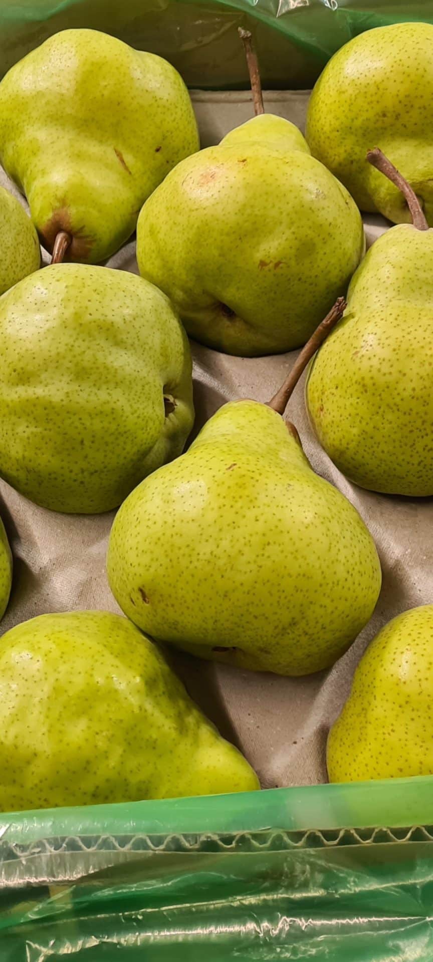 William Pears - Leons Fruit Shop