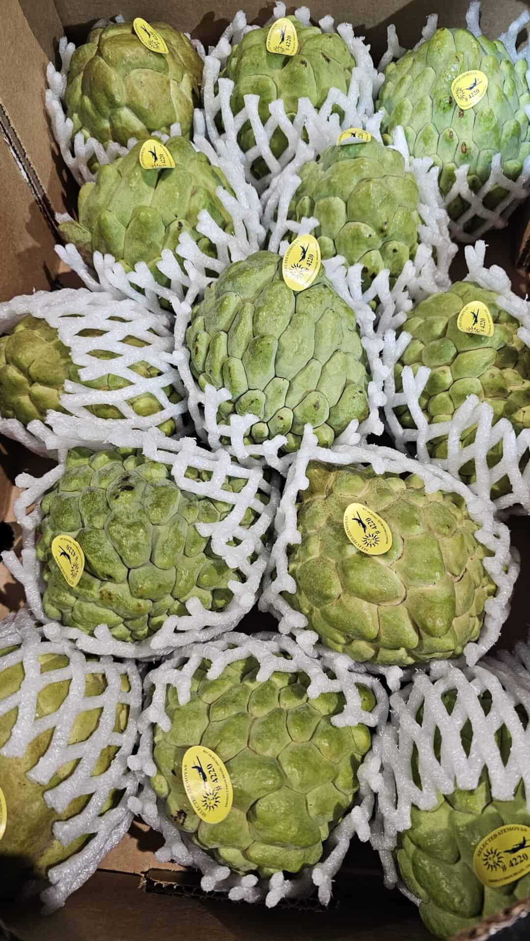 Custard Apples – Leons Fruit Shop
